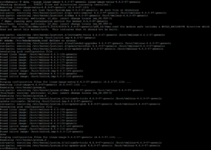 Safely Remove Old Kernels form Debian Distributions